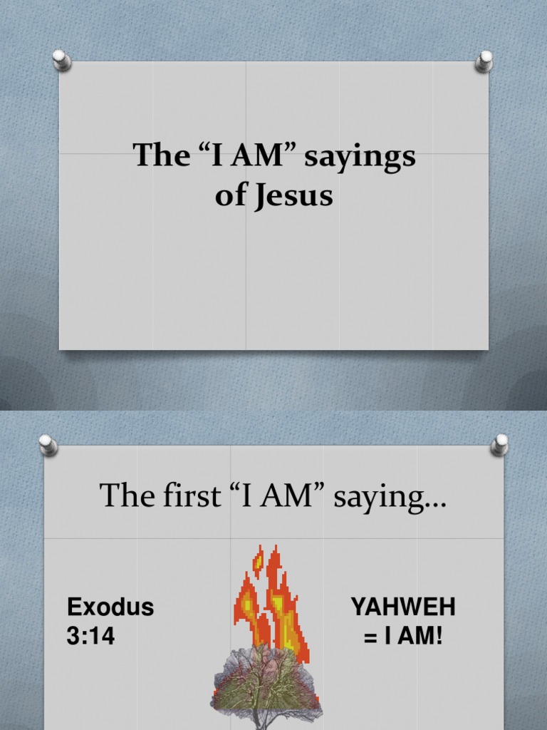 Jesus' Seven "I AM" Sayings Explained | PDF | Gospel Of John | Jesus