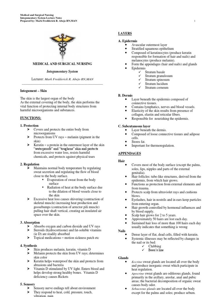 Integumentary System | PDF | Skin | Medical Specialties
