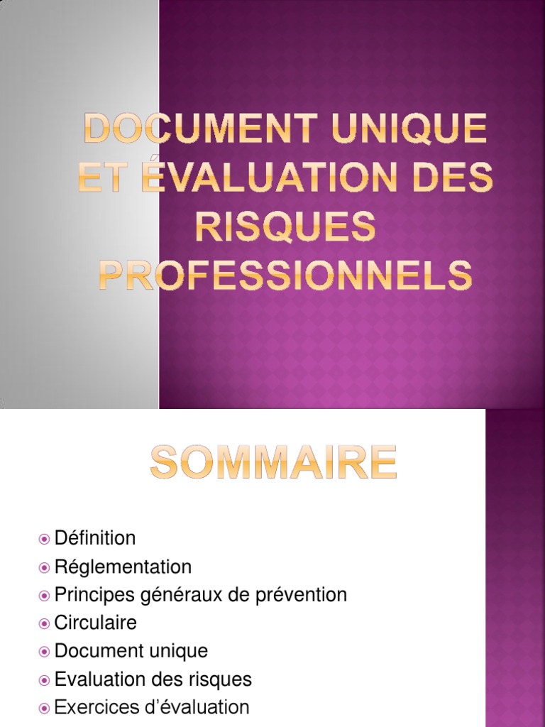 Document Unique Et Évaluation Des Risques Professionnels | Download Free PDF | Sécurité ...