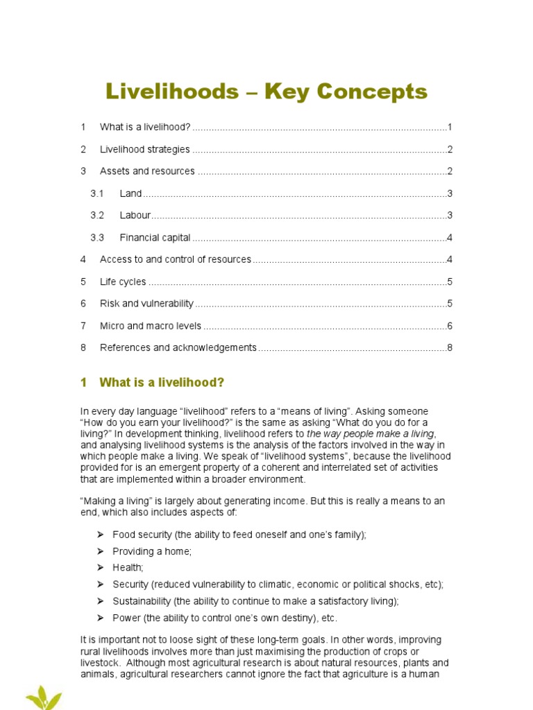 Livelihoods - Key Concepts: 1 What Is A Livelihood? | PDF | Capital ...