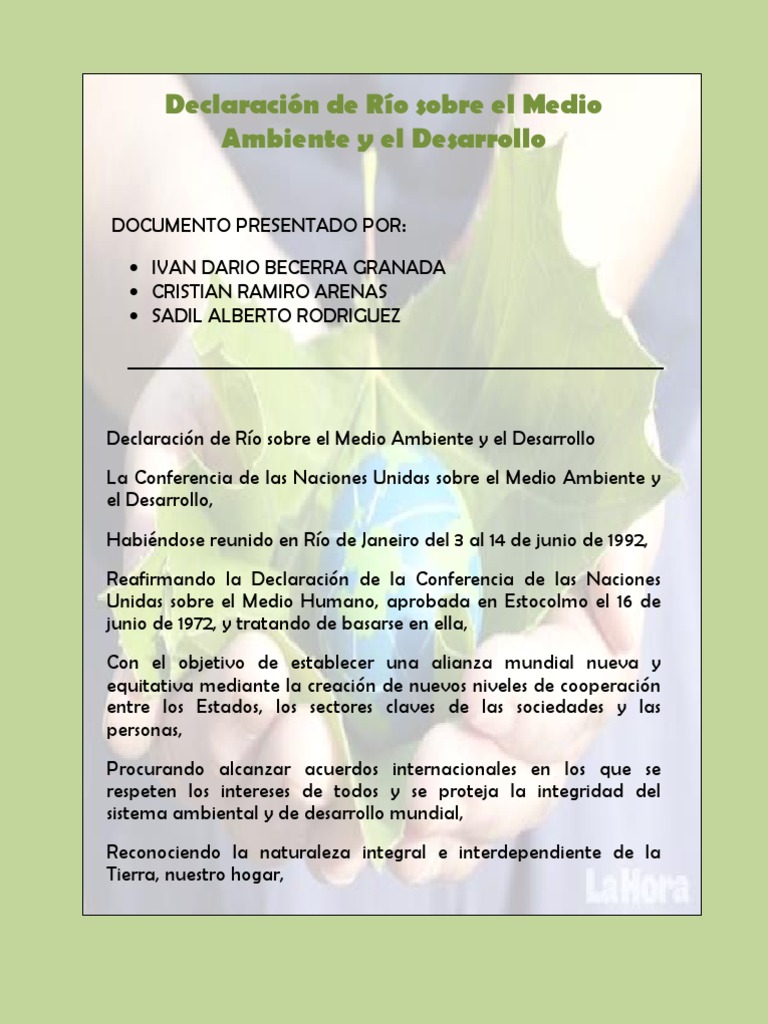 Declaración de Rio y Los 27 Principios | Descargar gratis PDF ...