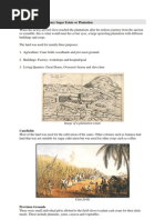 Sugar Revolution and African Enslavement | PDF | Slavery | Atlantic ...