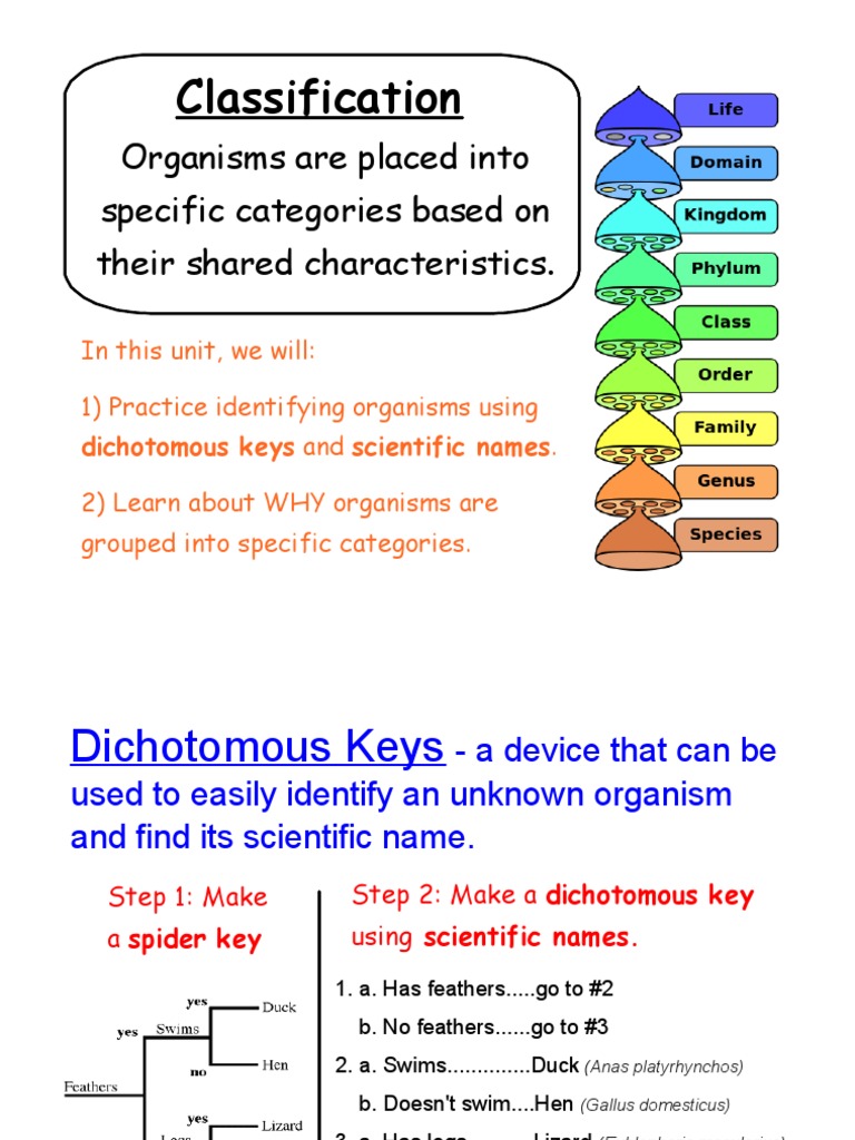 Dichotomous Key Scientific Names | PDF