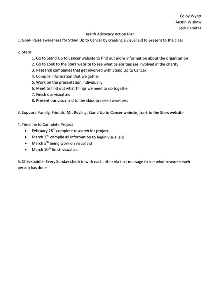 Health Action Plan | PDF