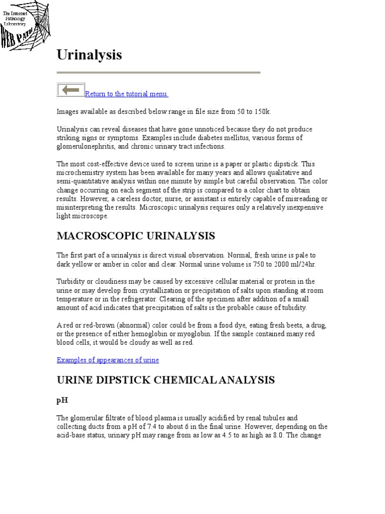 Urinalysis | Kidney | Urinary System