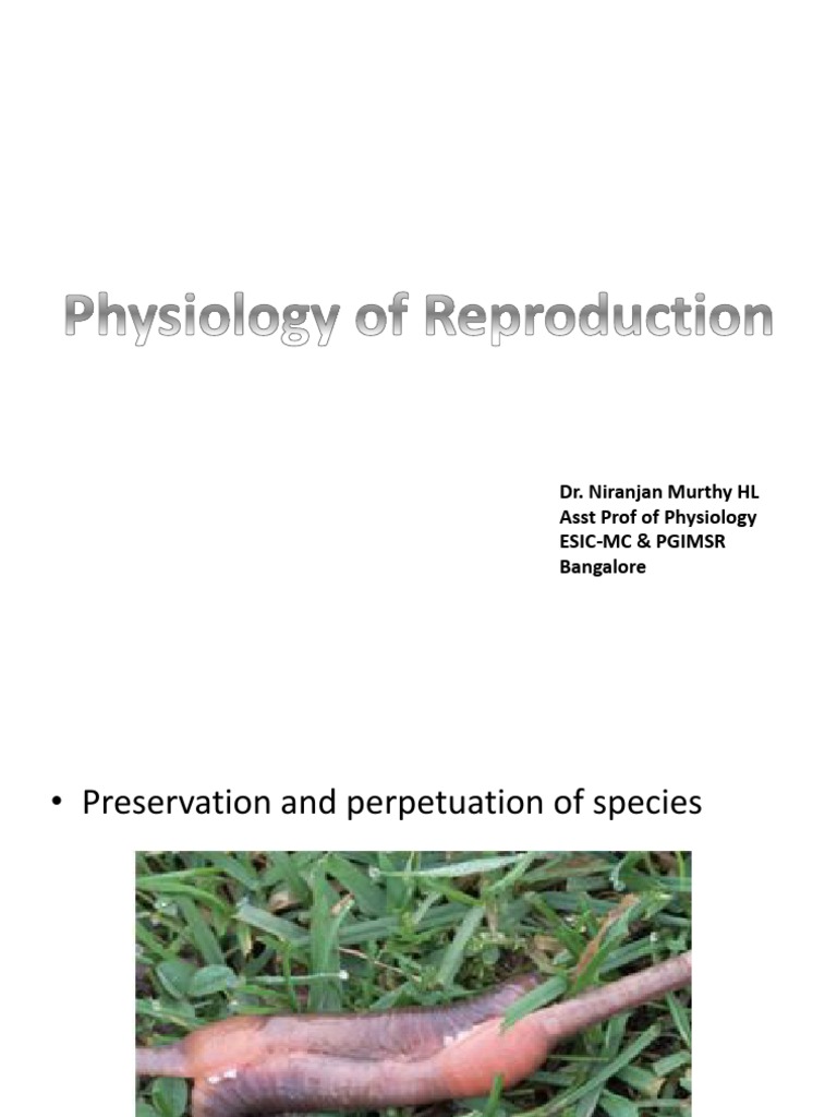 Physiology of Reproductive System | PDF | Menstrual Cycle | Testicle