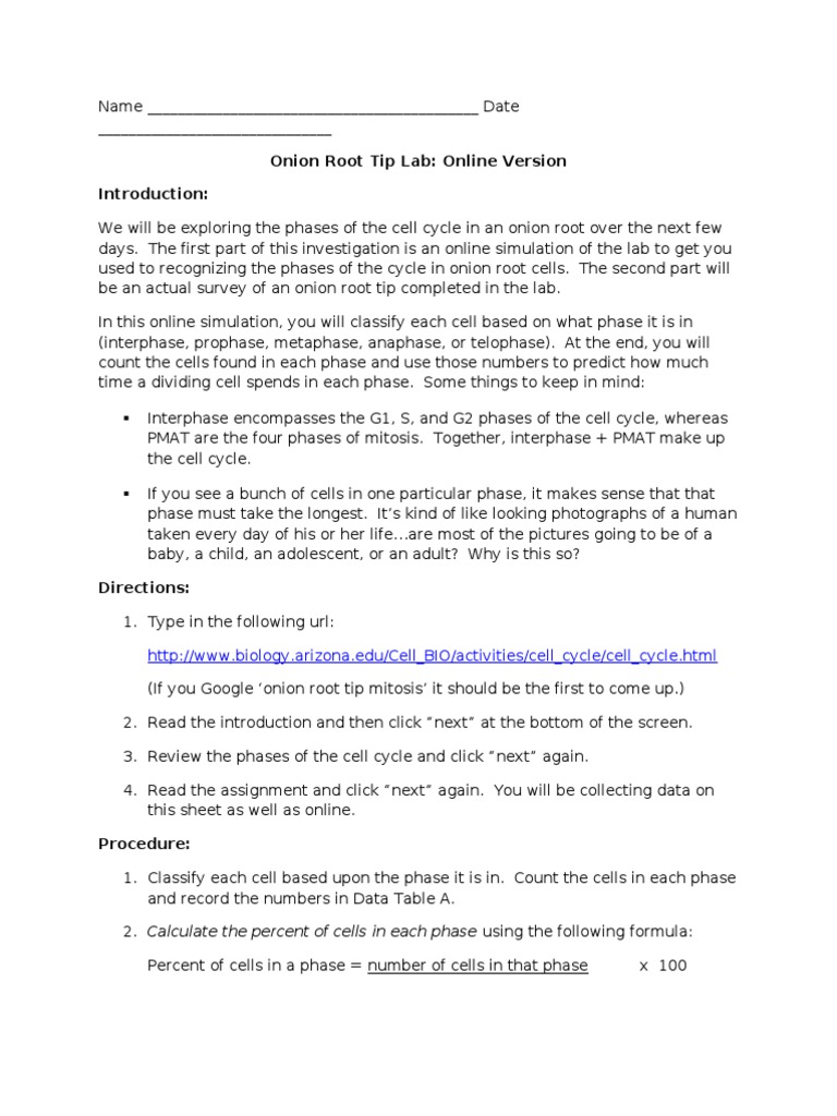 Online Onion Root Tip Lab | PDF | Mitosis | Cell Cycle