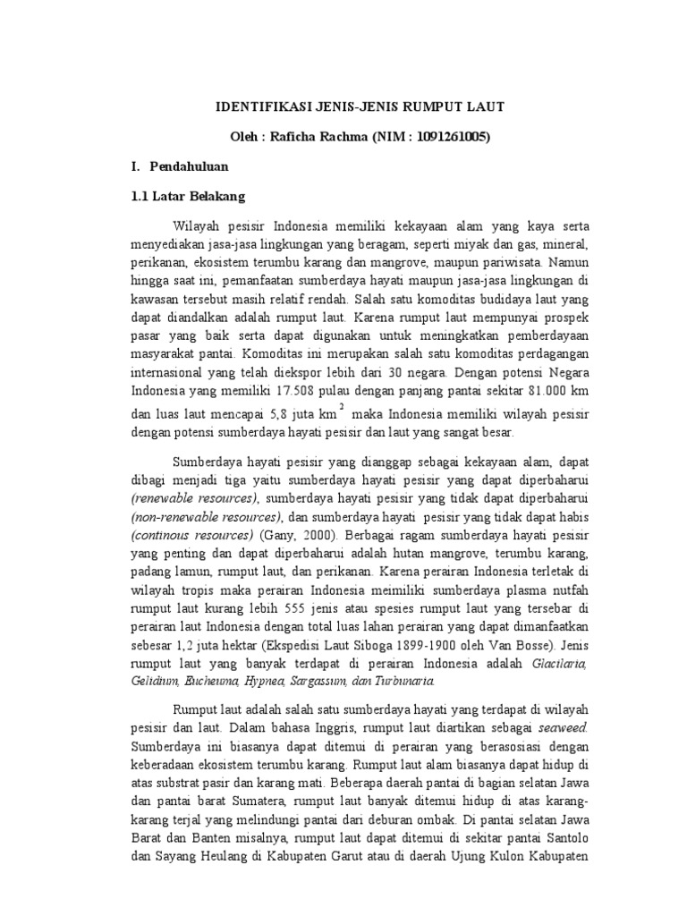 Paper Rumput Laut | PDF