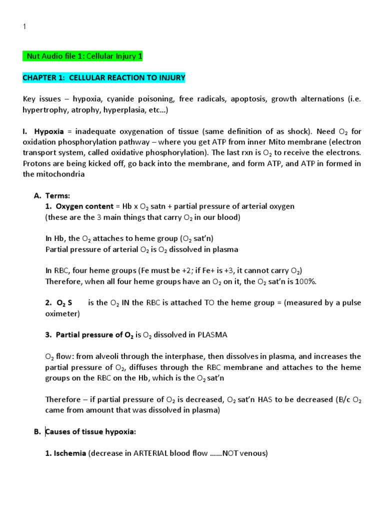 Goljan Imp | PDF | Apoptosis | Perfusion