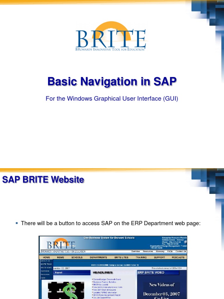 Basic Navigation in SAP: For The Windows Graphical User Interface (GUI) | PDF | Icon (Computing ...