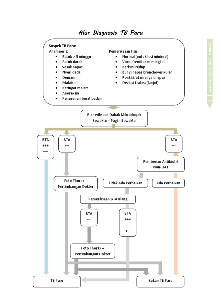 Alur Diagnosis TB Paru | PDF