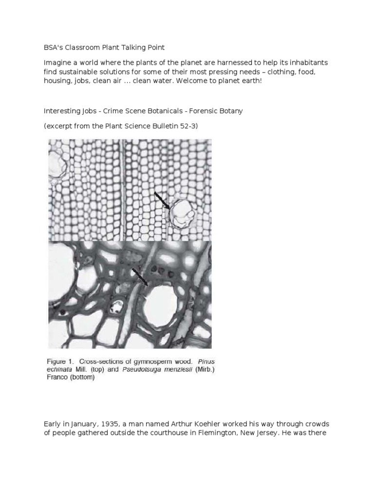 forensic botany | Forensic Science | Pollen