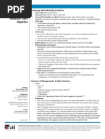 Active Leg Rom Sitting | PDF