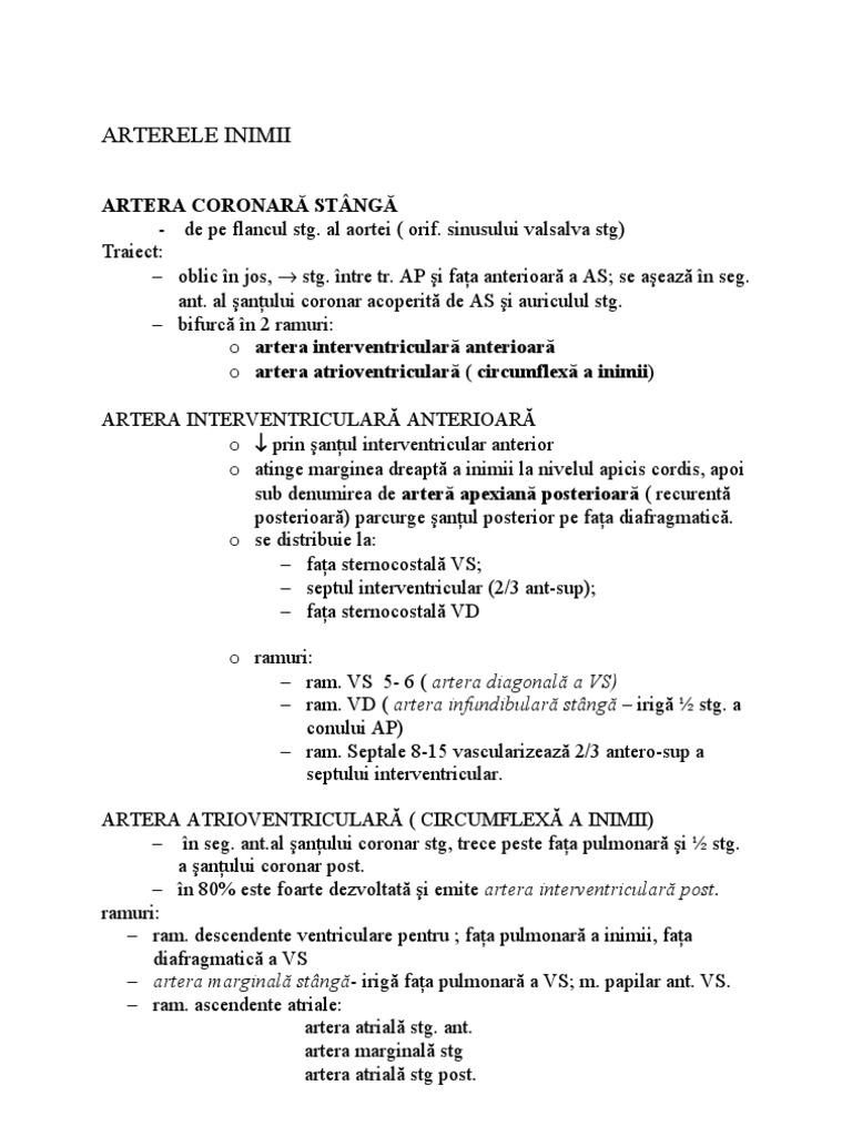 Vascularizatia INIMII | PDF
