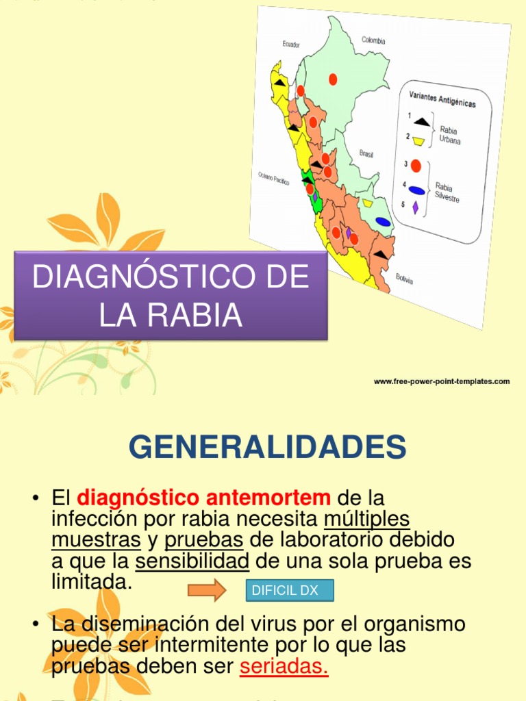 Rabia | PDF | Rabia | Inmunofluorescencia