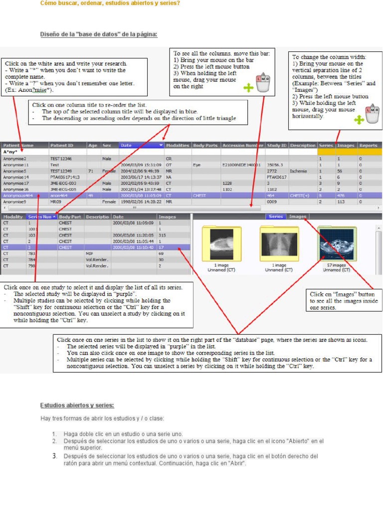 Manual Onis | PDF | Point and Click | Ventana (informática)
