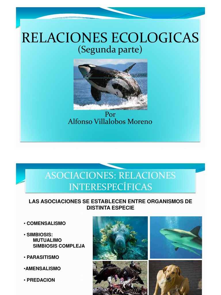 Tipos de Relaciones Ecológicas | PDF | Biología | Ecología