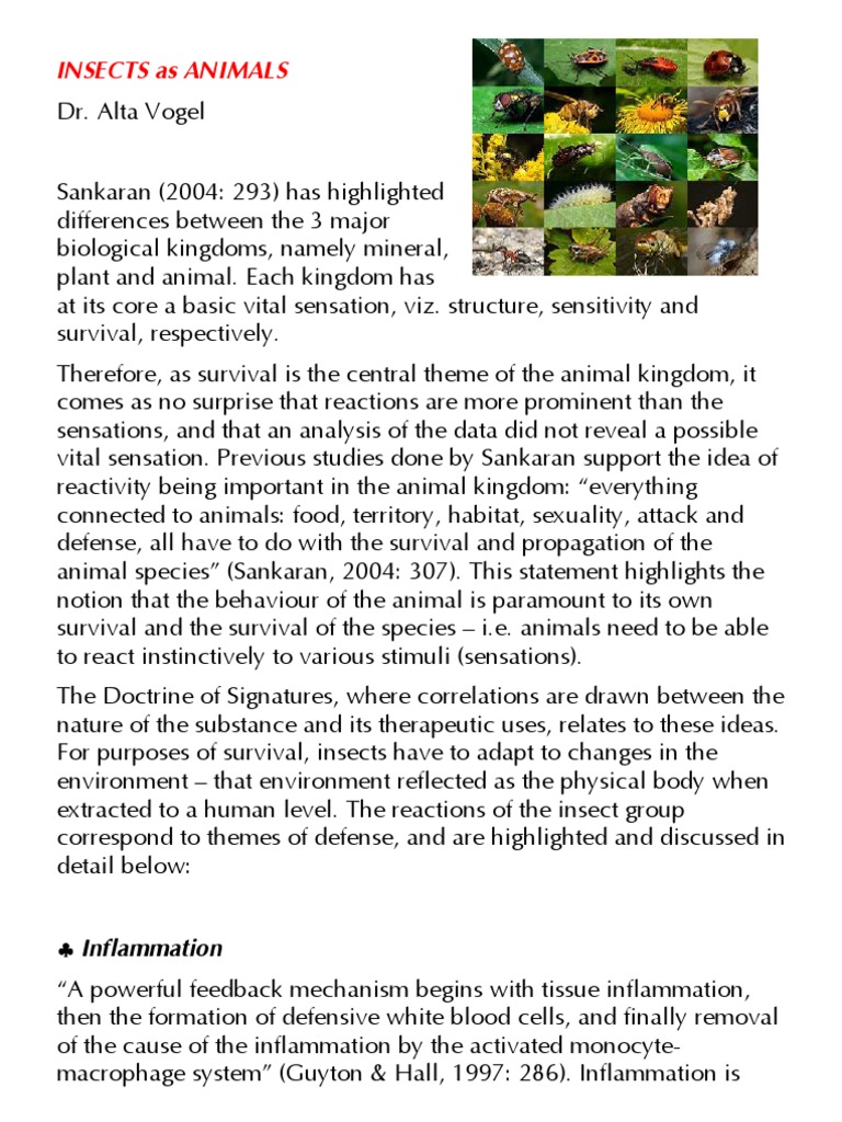 Class Insects | PDF | Insects | Inflammation