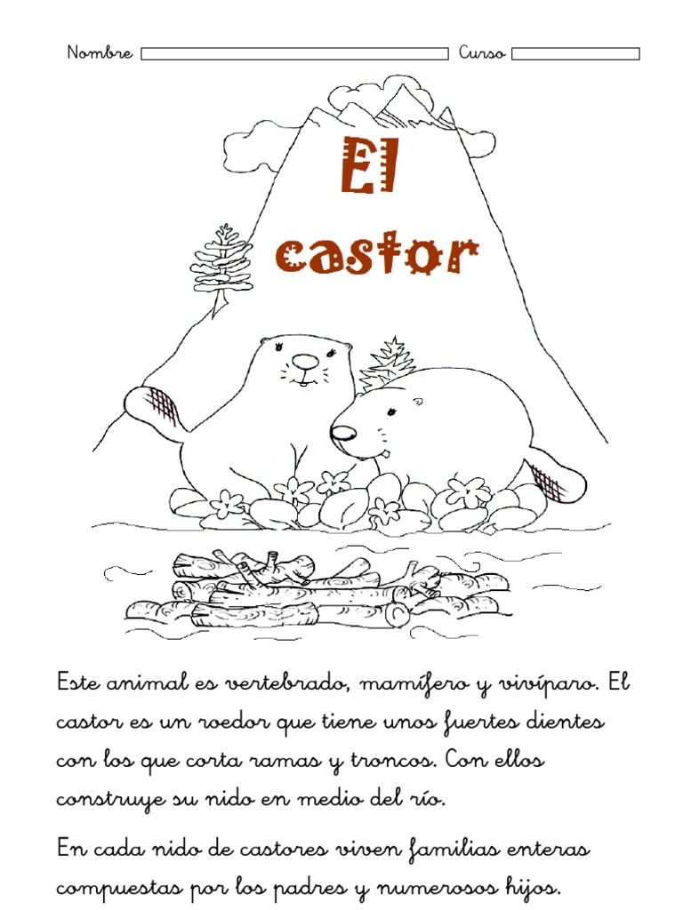 Características del castor y su nido | PDF