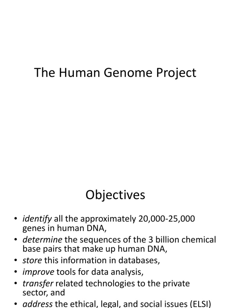 The Human Genome Project | PDF | Arabidopsis Thaliana | Gene