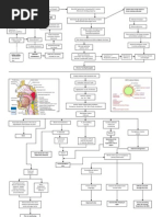 Gans Sensory Organization Performance (SOP) Test | PDF | Vertigo ...