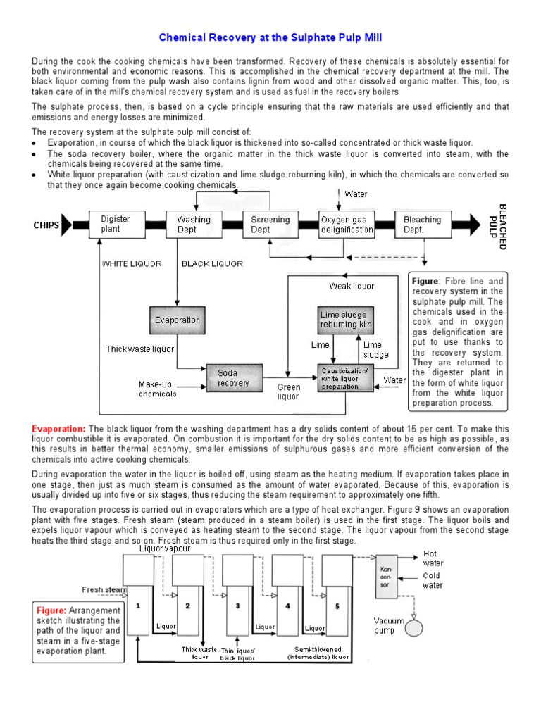 Chemical Recovery in Sulphate Pulp Mill | PDF | Boiler | Steam