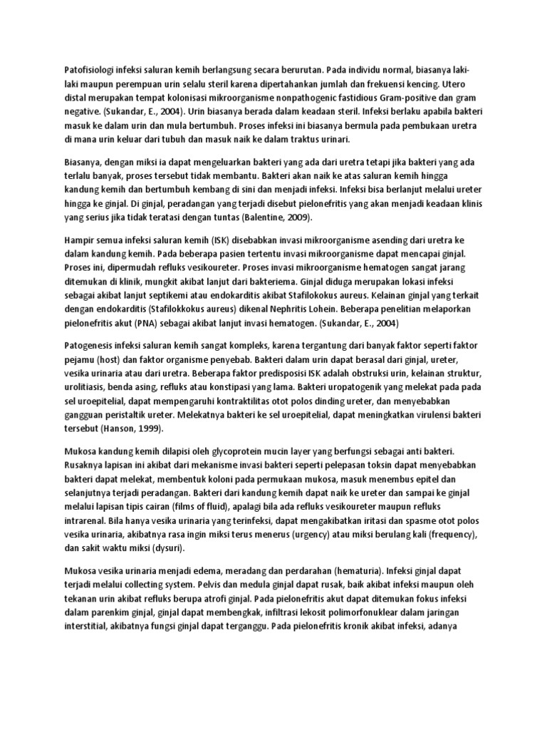 Patogenesis Infeksi Saluran Kemih | PDF