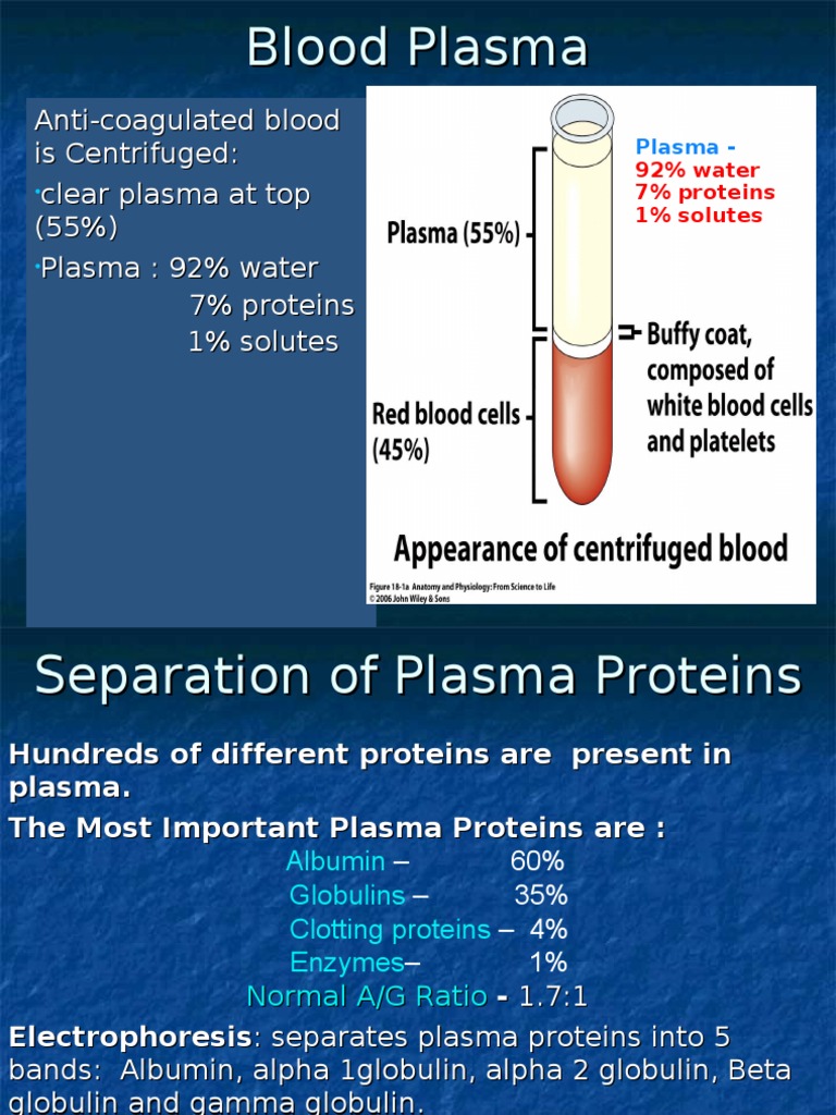 Physiology of Plasma Proteins | PDF | Edema | High Density Lipoprotein
