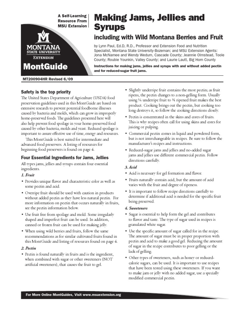 Making Jams, Jellies and Syrups: Montguide | PDF