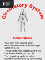 Blood and Circulation, iGCSE Biology | PDF | Circulatory System ...