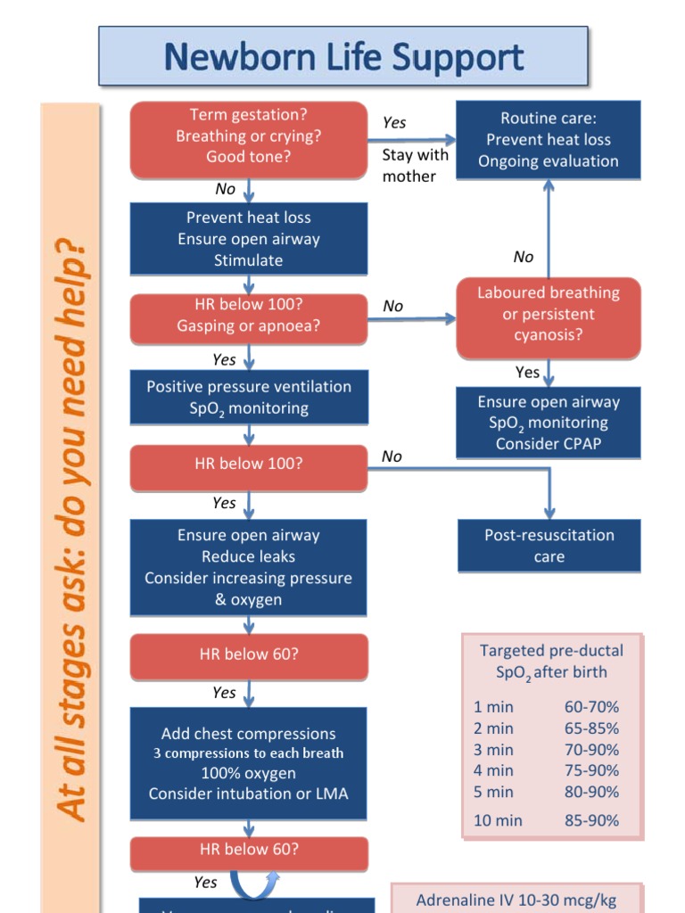 Arc Neonatal Flowchart | PDF