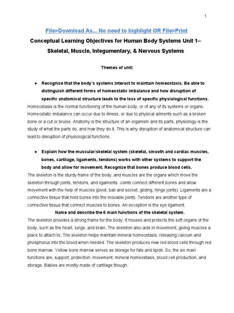 Skeletal and Integumentary Systems Overview | PDF | Neuron | Nervous System