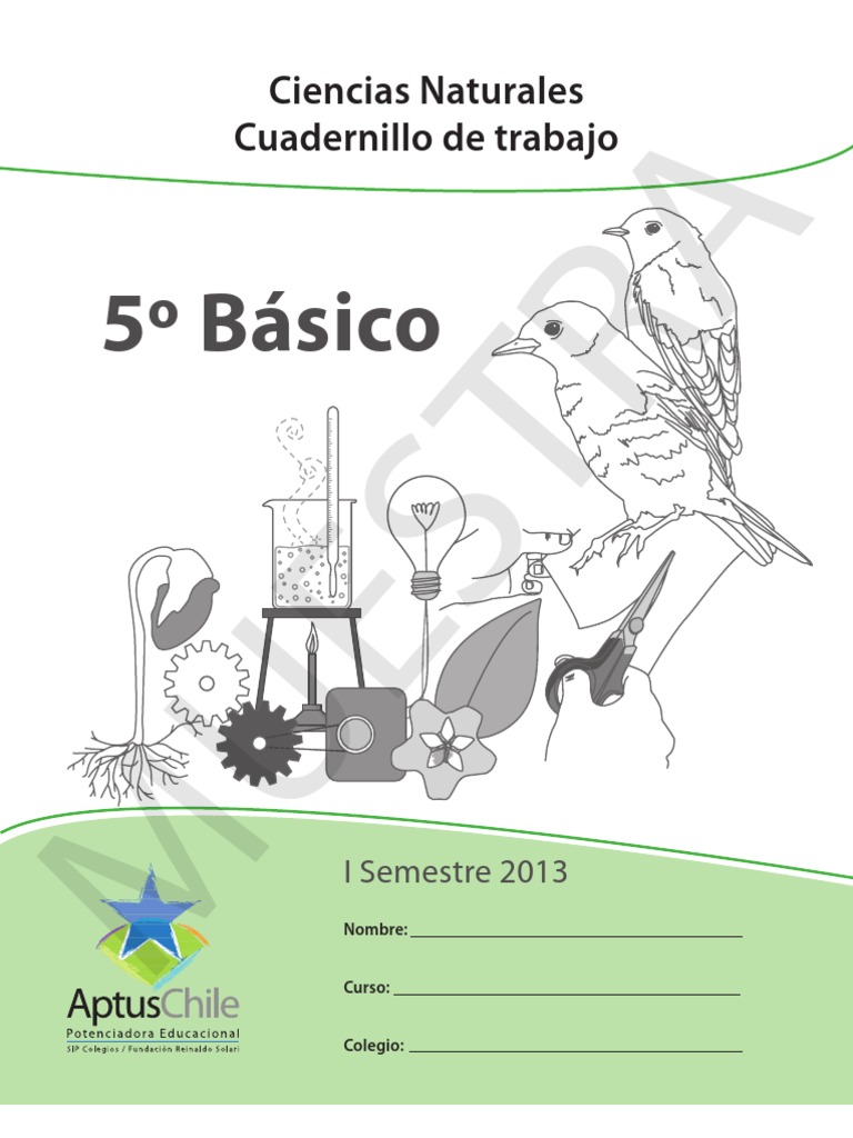 Cuadernillo CN5 | PDF