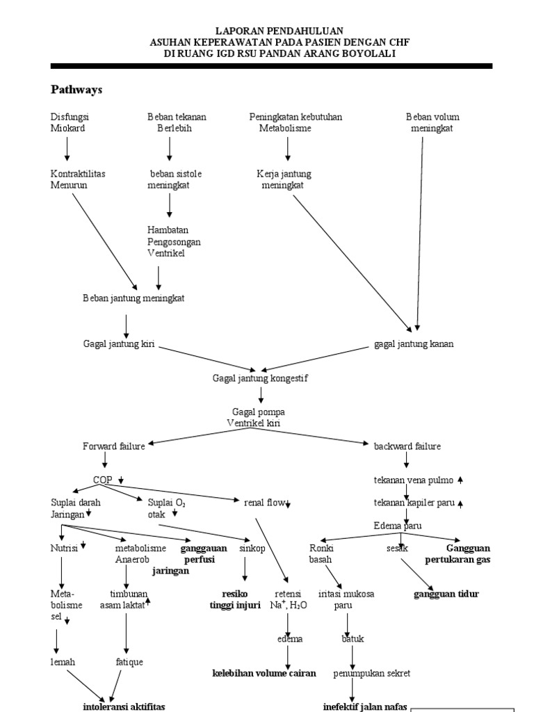 Pathway Gagal Jantung Kongestif | PDF | Kesehatan Holistik | Sains ...