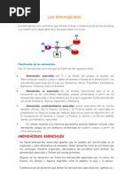 Fortac: Suplemento para mayores de 40 | PDF | Vitamina D | Nutrientes