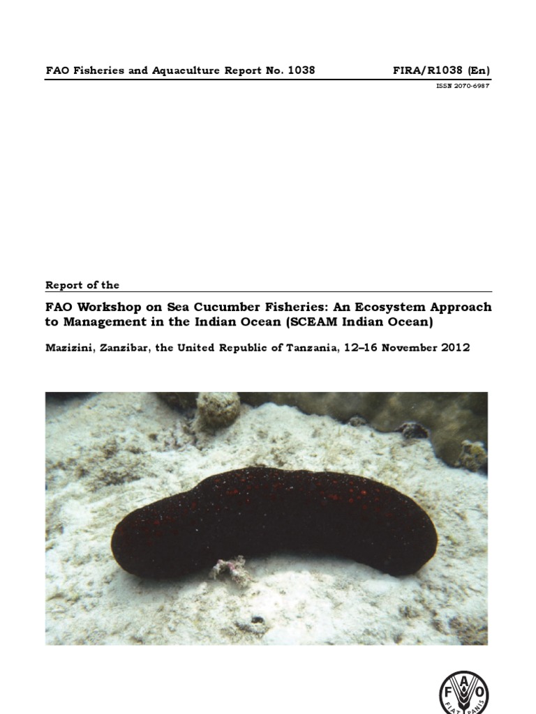 Report of The FAO Workshop On Sea Cucumber Fisheries: An Ecosystem ...