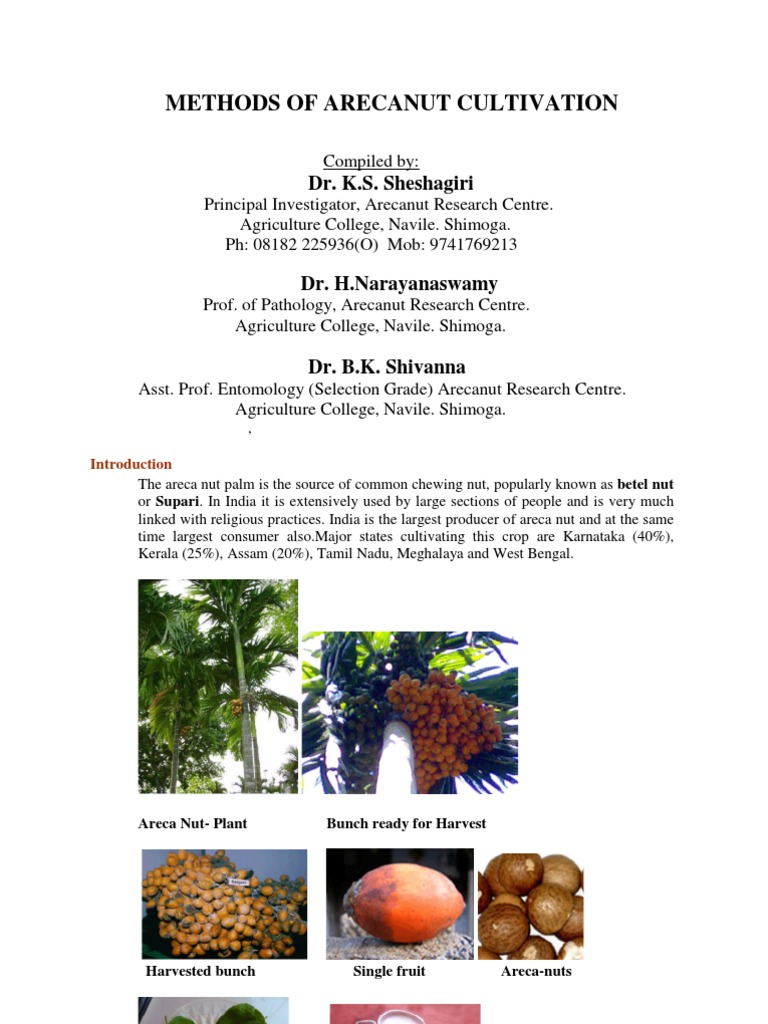 Methods of Arecanut Cultivation | Plant Nursery | Soil