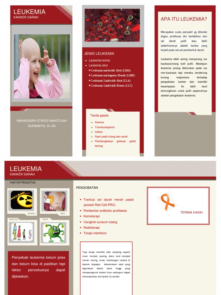 Leukemia Leaflet | PDF