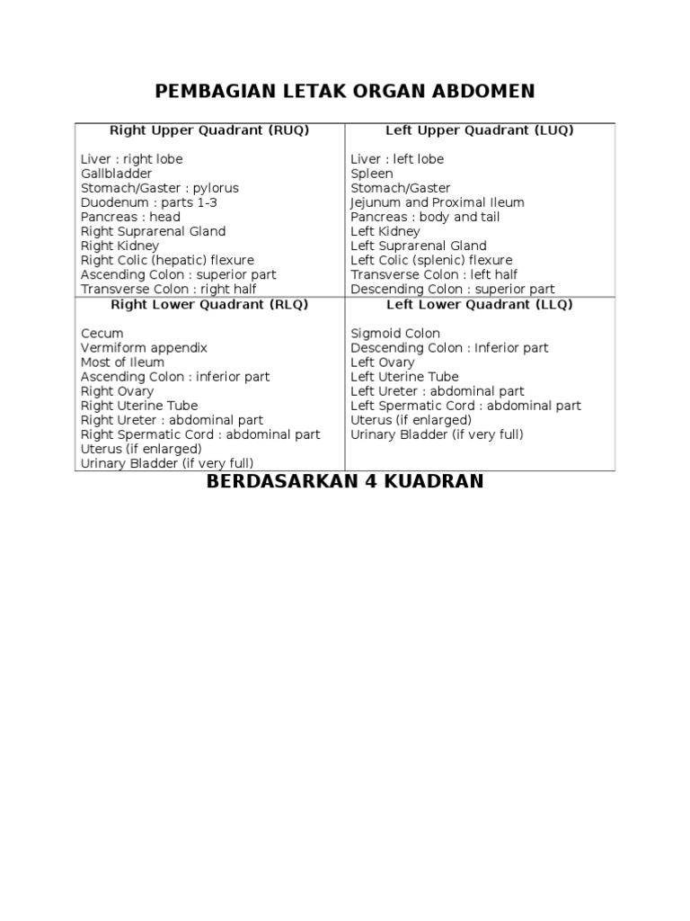Pembagian Letak Organ Abdomen Berdasarkan 9 Regio dan 4 Kuadran | PDF