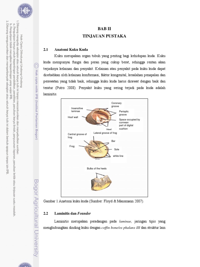 Bab II Tinjauan Pustaka | PDF | Sains & Matematika