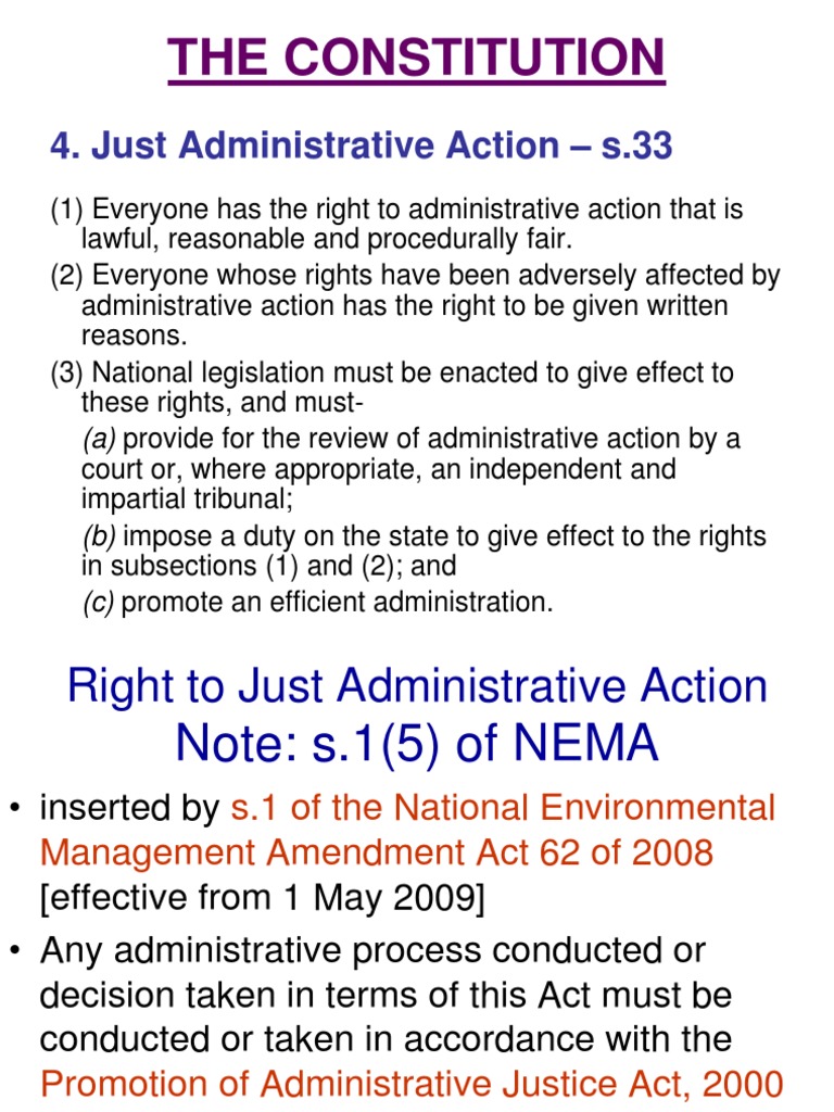 Lecture 10 - THE CONSTITUTION | PDF | Social Institutions | Social Science