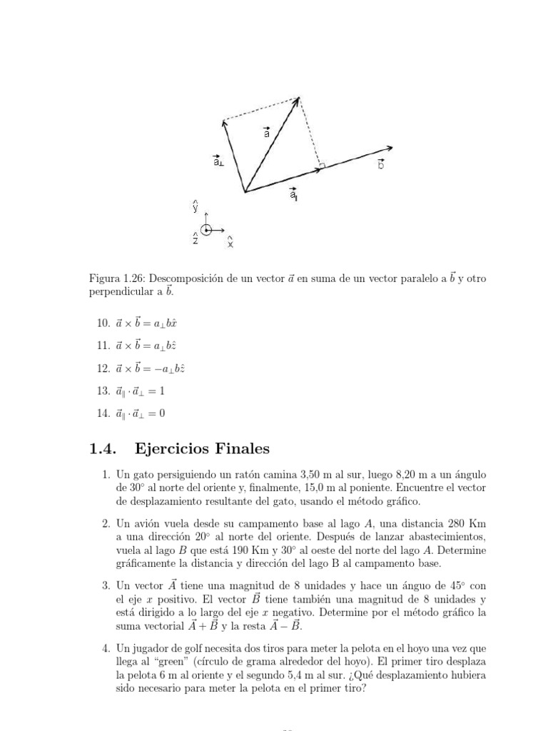 Ejercicios Vectores Física | PDF | Vector Euclidiano | Álgebra lineal