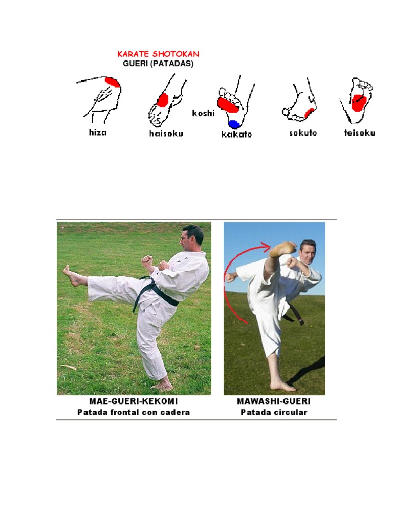 Patada Circular De Taekwondo