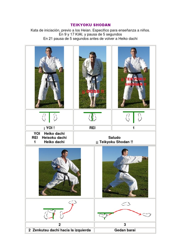 12 Karate Shotokan Teikyoku Shodan | PDF