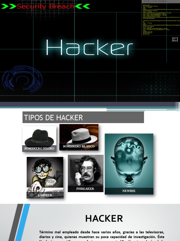 hackers.pdf | Hacker de seguridad | Era de la información