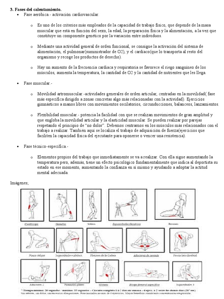 Ejercicios de Calentamiento | PDF