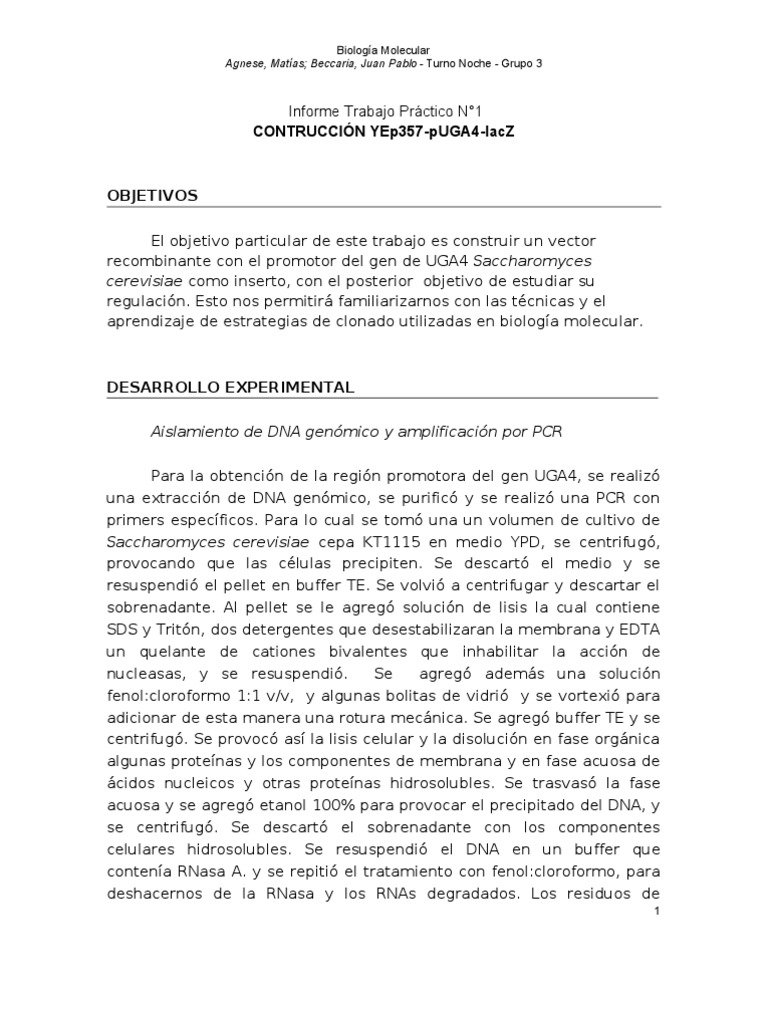 TP BM | PDF | Transformación (Genética) | Adn