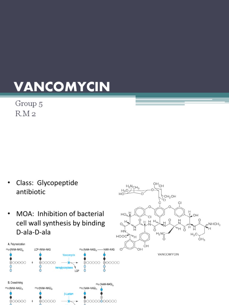 Vancomycin: Group 5 R.M 2 | PDF | Renal Function | Medicinal Chemistry