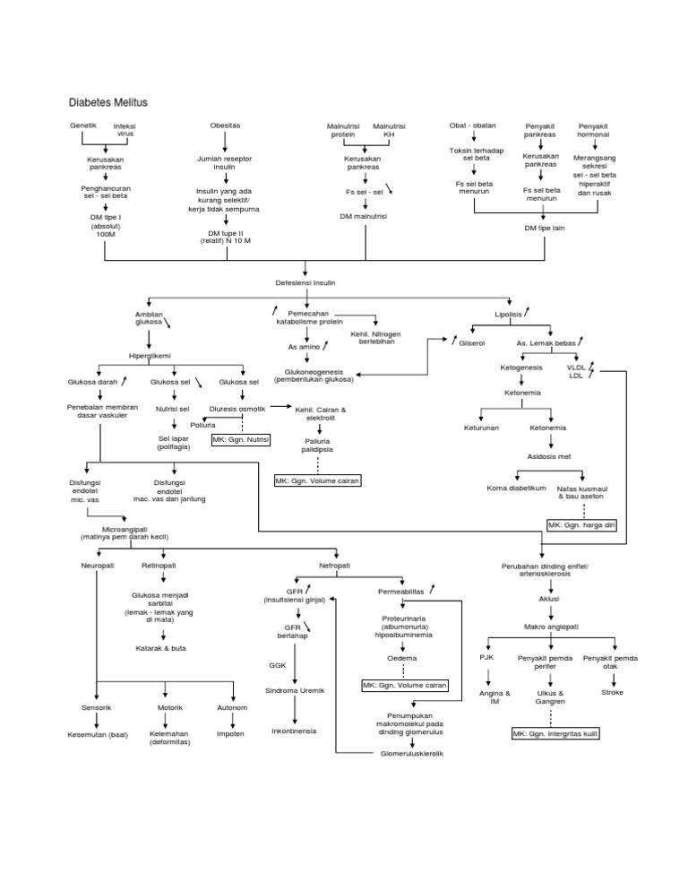 WOC - Diabetes Melitus | PDF