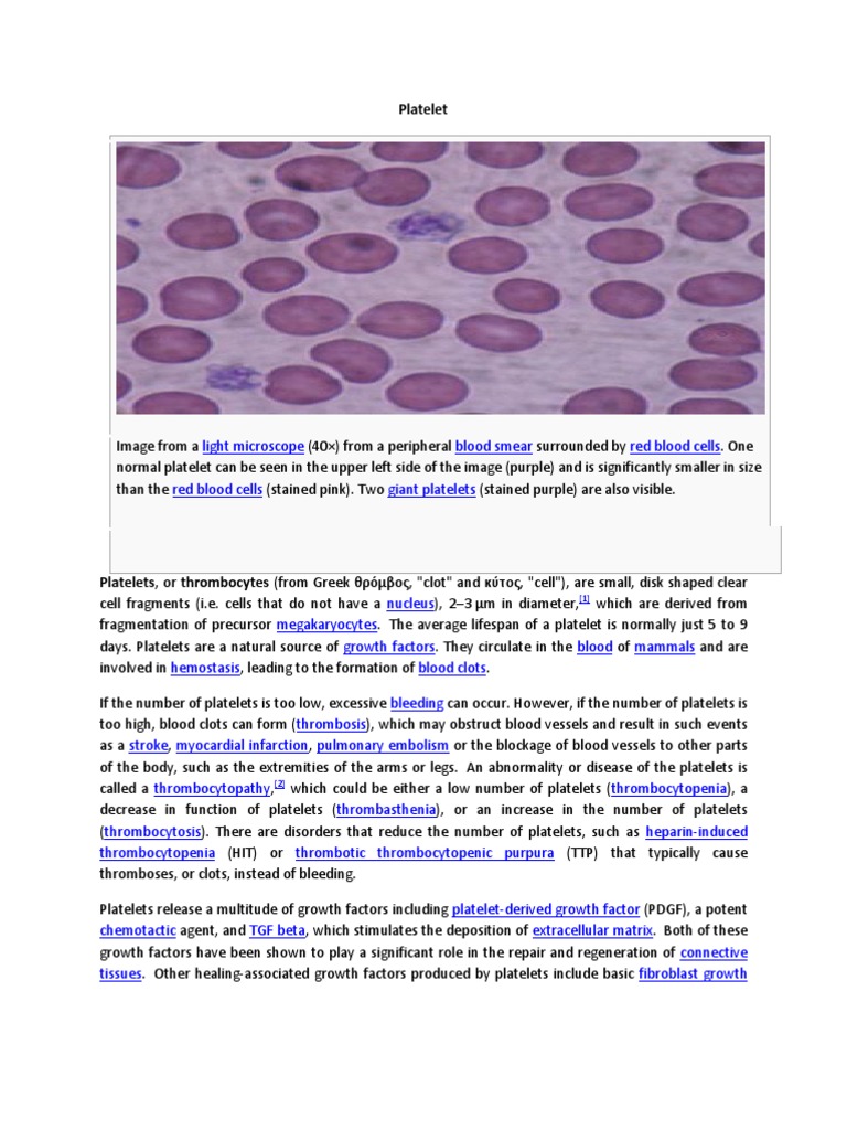 Platelets Information | PDF | Platelet | Blood Cell
